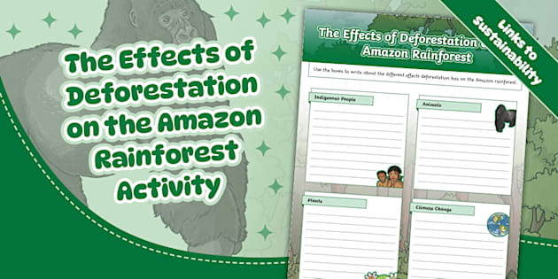 The Effects of Deforestation on the Amazon Rainforest Activity