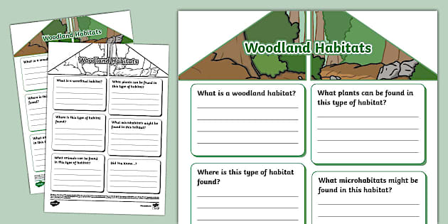 Woodland Habitats Fact File Template (teacher made) - Twinkl
