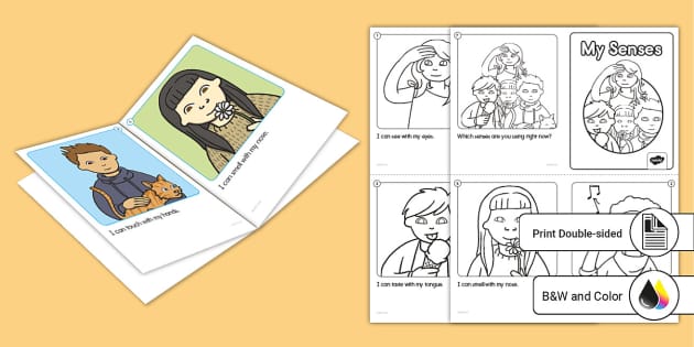 My Senses Emergent Reader (teacher made) - Twinkl