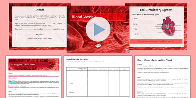 AQA Biology Unit 2 Blood Vessels Cover Lesson Pack - Twinkl