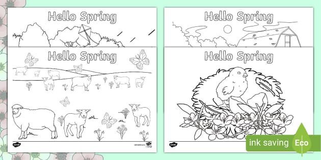 Hello Spring Colouring Pages (teacher made) - Twinkl