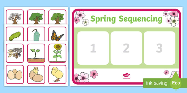 Spring Sequencing Cards (teacher made)