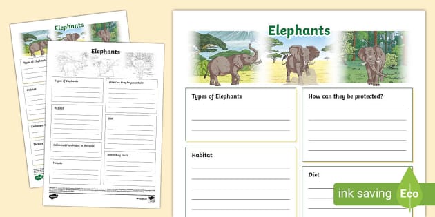 KS2 Elephants Fact File Template (creat de profesori)