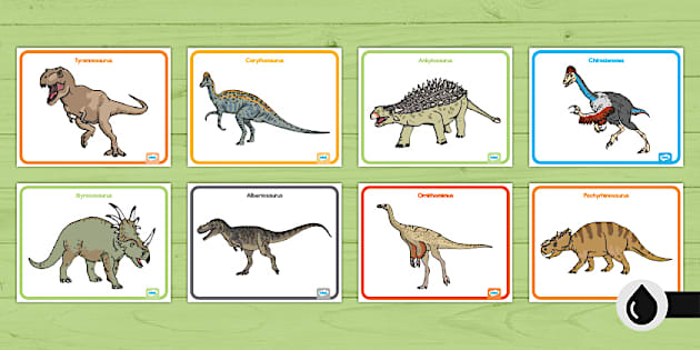Dinosaurs Found in Canada: Classroom Display Posters