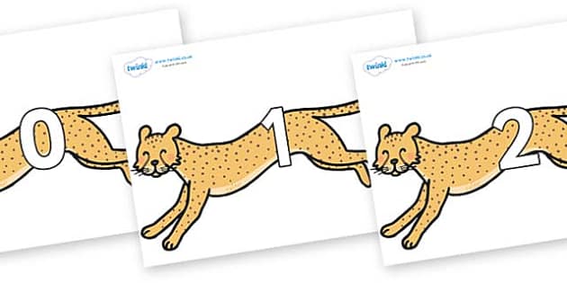 Numbers 0-100 on Cheetahs (teacher made) - Twinkl