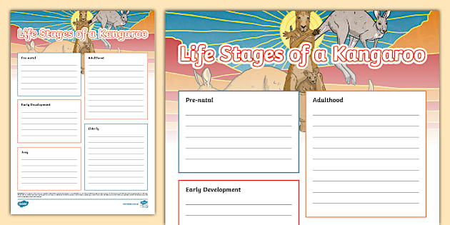 * NEW * Kangaroo Life Stages Fact File Template - Twinkl