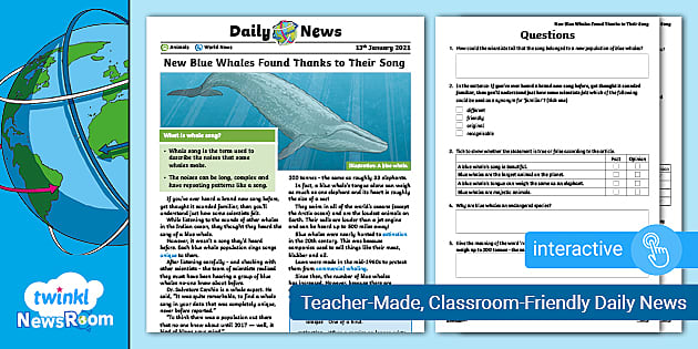 Blue Whale Children’s News | Twinkl NewsRoom Resources