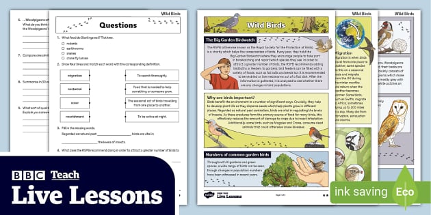 FREE! - BBC Teach Live Lesson: Big Schools’ Winterwatch 2023 Wild Birds