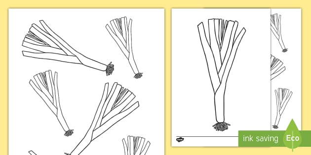 Leek Colouring Pages | Twinkl Resources Wales (teacher made)