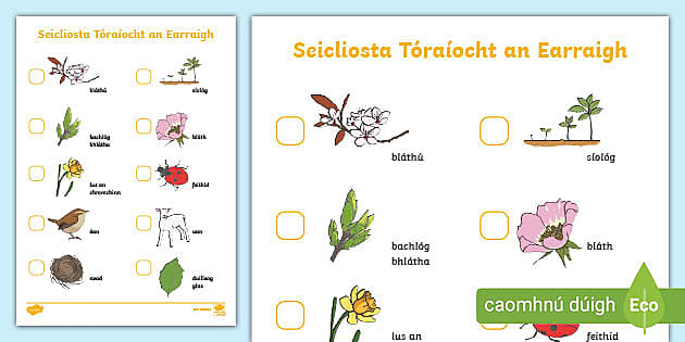 Spring Aistear Hunt Checklist Gaeilge (Teacher-Made)