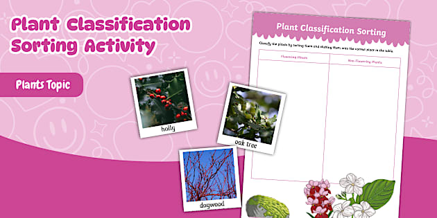 Plant Classification Sorting Activity