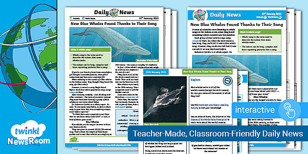 Blue Whale Reading Comprehension | Twinkl NewsRoom Resources