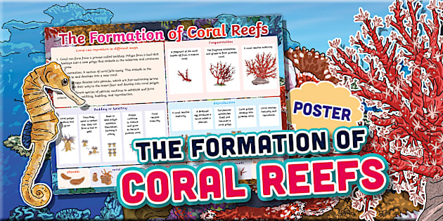 The Formation of Coral Reefs Poster