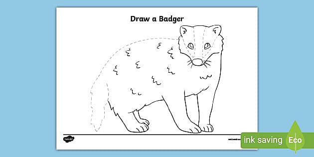 EYFS Draw a Badger Pencil Control Activity (teacher made)