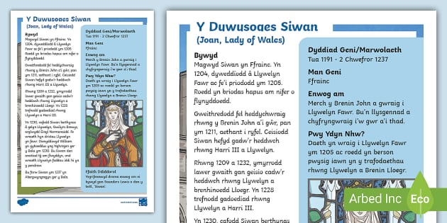 Ffeil Ffeithiau Siwan (teacher made) - Twinkl