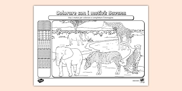Colorare con i motivi: Savana - Twinkl Colouring - Twinkl