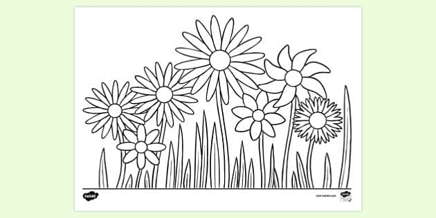 FREE! - Floral Colouring Page | Colouring Sheets - Twinkl