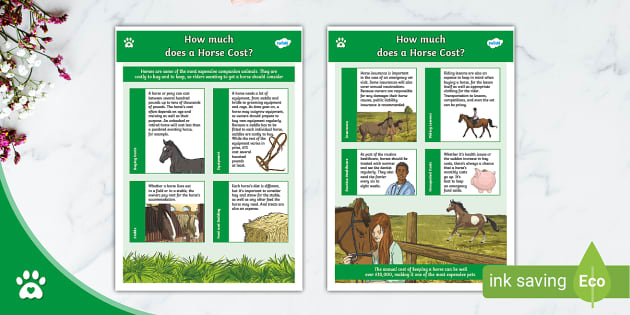 How much does a Horse Cost? - Infographic