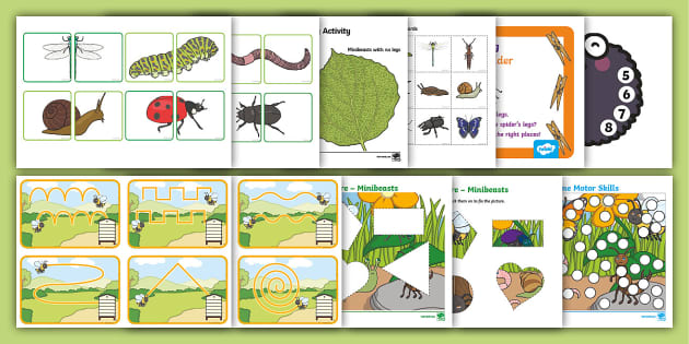 EYFS Minibeasts Resource Pack (Ages 2-3) (teacher made)