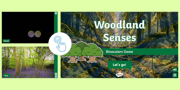Woodland Senses Interactive Binoculars Game (teacher made)
