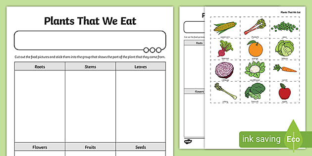 Plants We Eat Worksheet