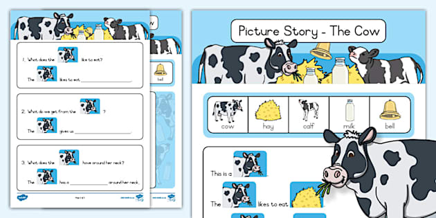 Picture Story - The Cow (teacher made) - Twinkl