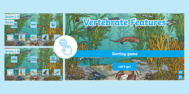 Vertebrate Features Sorting Game (teacher made) - Twinkl Vertebrate Features Sorting Game (teacher made) - Twinkl