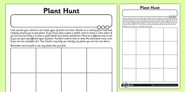 Plant Hunt Worksheet / Worksheet (teacher made) - Twinkl