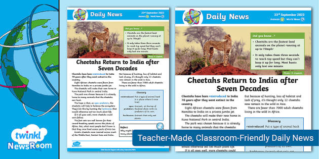 Cheetahs Back in India - Daily NewsRoom Story (ages 7-9)