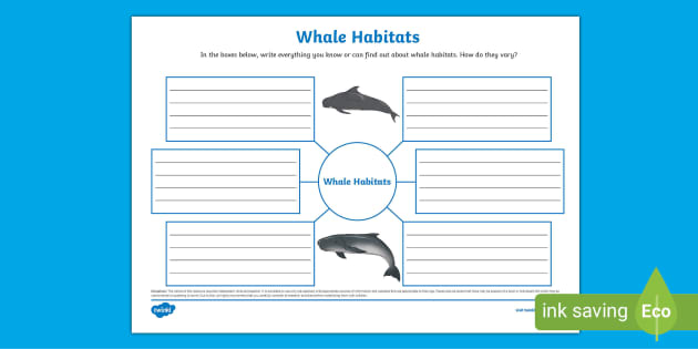 Whale Habitats Mind Map (teacher made) - Twinkl