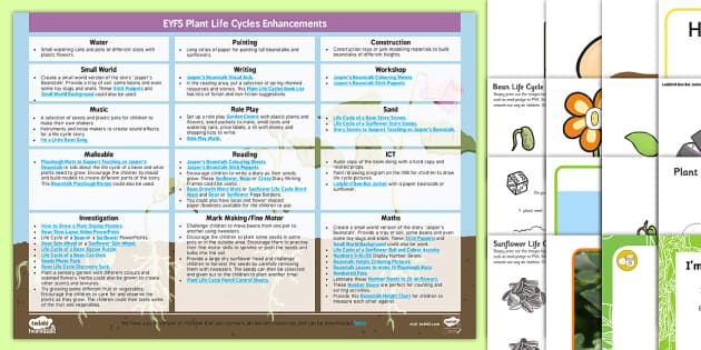 EYFS Plant Life Cycles Enhancement Ideas and Resources Pack