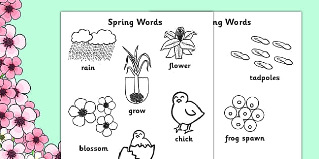 Spring Words Colouring Sheets - Primary Resources - Twinkl