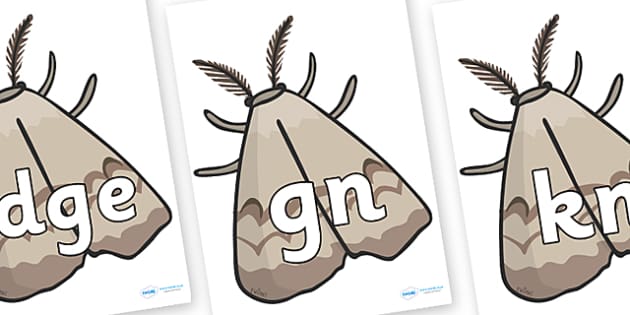 Silent Letters on Insects (profesor hizo) - Twinkl