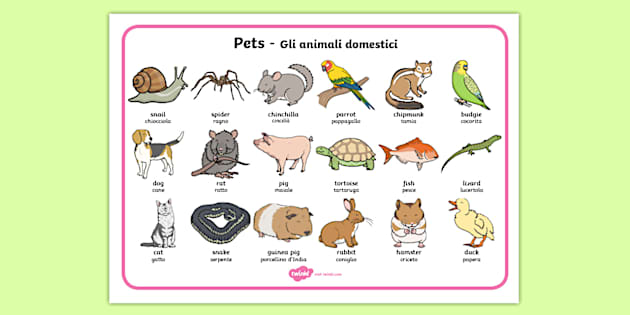 Pets Word Mat English/Italian - Pets Word Mat (teacher made)