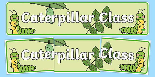 FREE! - 👉 Caterpillar Class Display Banner (teacher made)