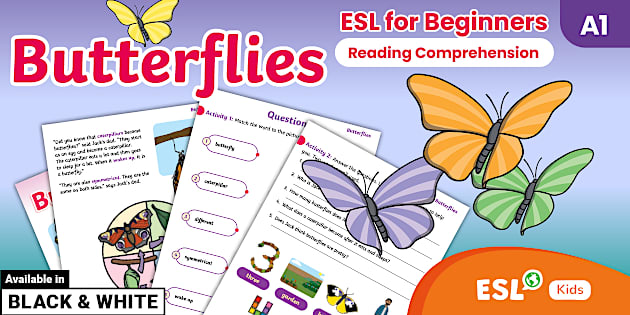 ESL Beginners: Butterflies Reading Comprehension