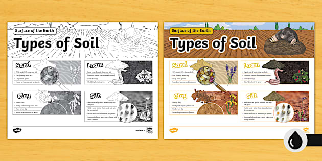 Four Types of Soil Poster