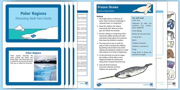 EYFS Polar Regions Discovery Sack (teacher made) - Twinkl