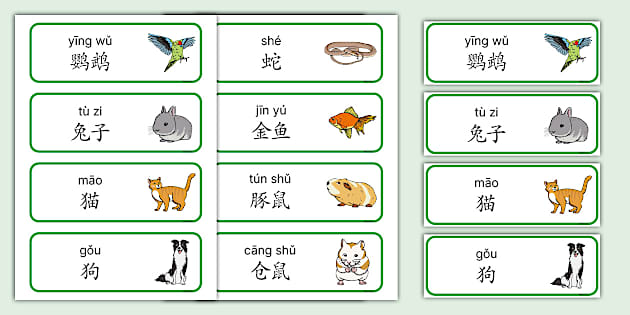Singapore Mandarin with Pinyin Pets Topic Word Cards