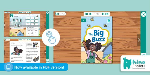 Level 6c Decodable Readers: The Big Buzz (professor feito)