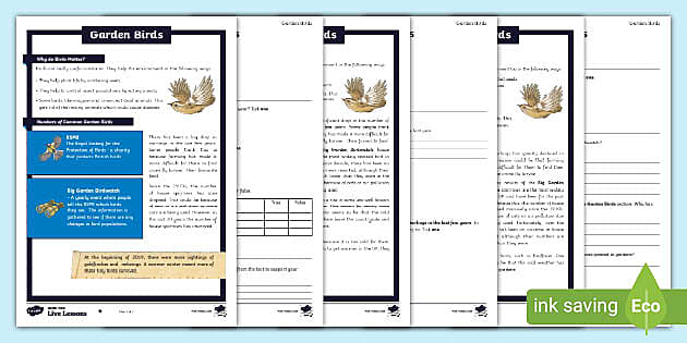 KS2 Garden Birds Differentiated Reading Comprehension Activity
