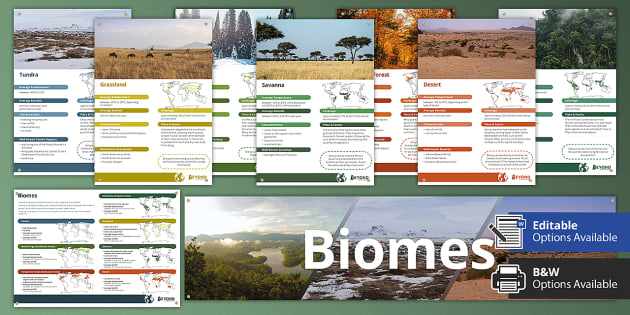 Biomes Display Pack (teacher made) - Twinkl