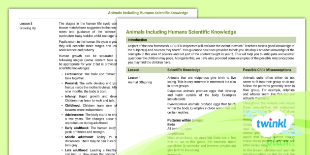Animals Including Humans Y2 Scientific Knowledge Guidance