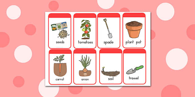 Grow your Own Vegetables Flashcards (Lehrer gemacht)