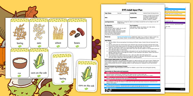 Sorting Harvest Grains EYFS Adult Input Plan and Resource Pack - harvest
