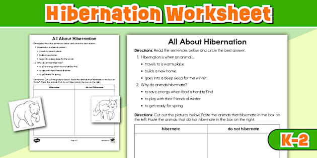 All About Hibernation Worksheet for K-2nd Grade