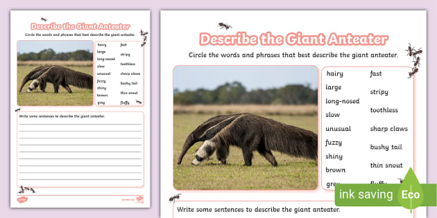 Describe the Giant Anteater Writing Worksheet - Twinkl - KS1