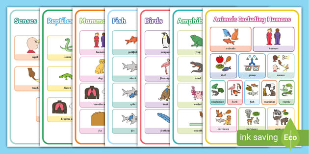 Twinkl Symbols: Animals Including Humans Vocabulary Mat