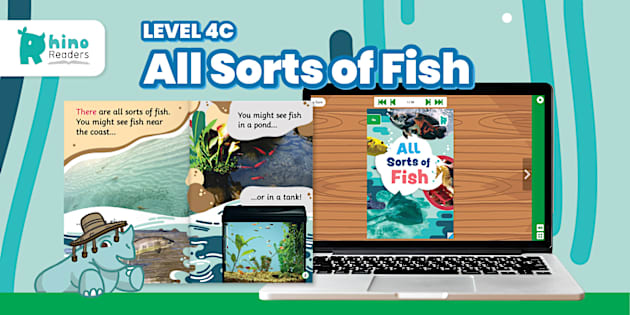 Level 4c All Sorts of Fish eBook