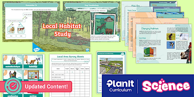 Y4 Living Things & Their Habitats Local Habitat Survey Lesson